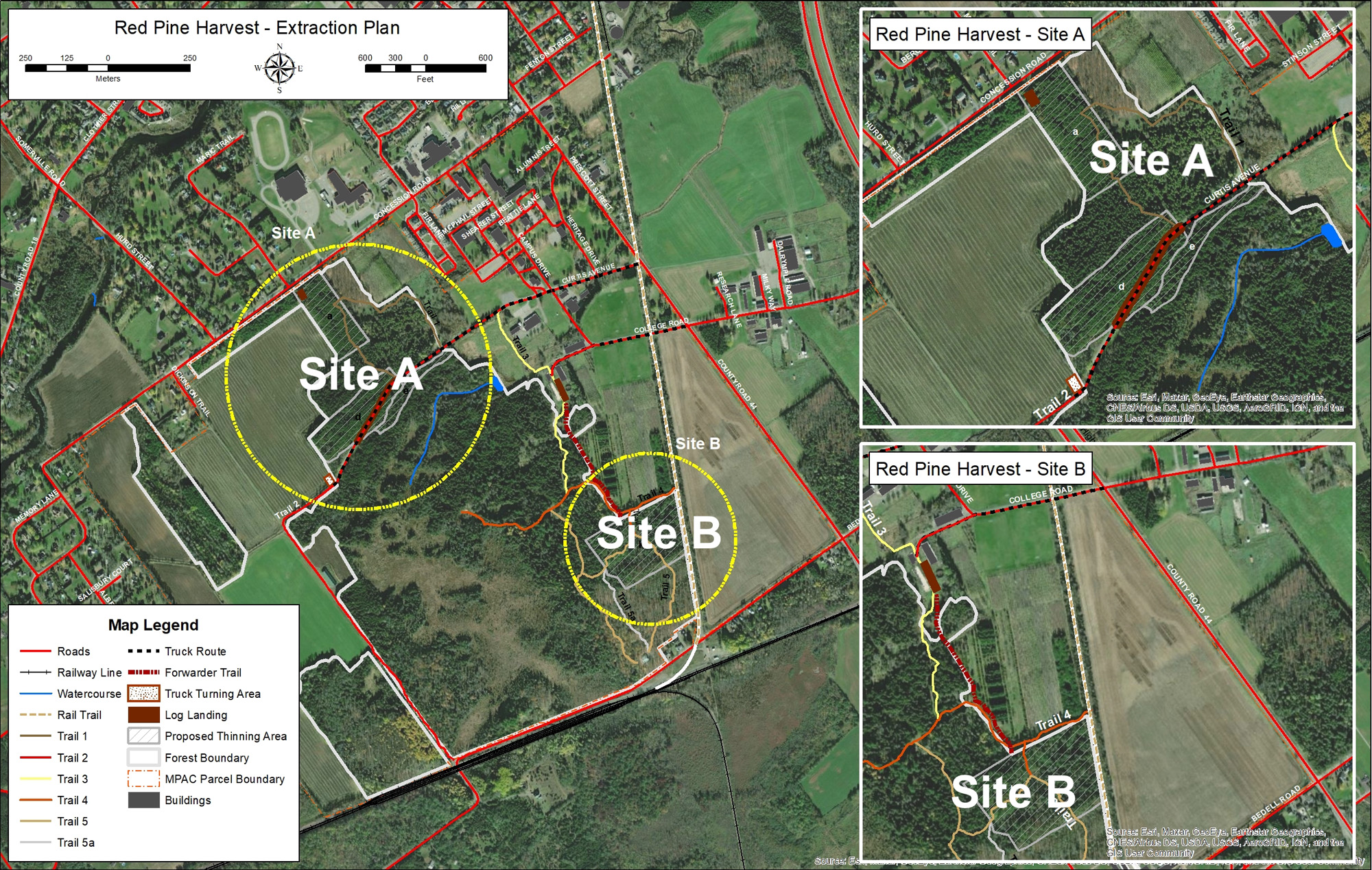 Kemptville Campus forest-thinning plans proceeding for first six weeks ...