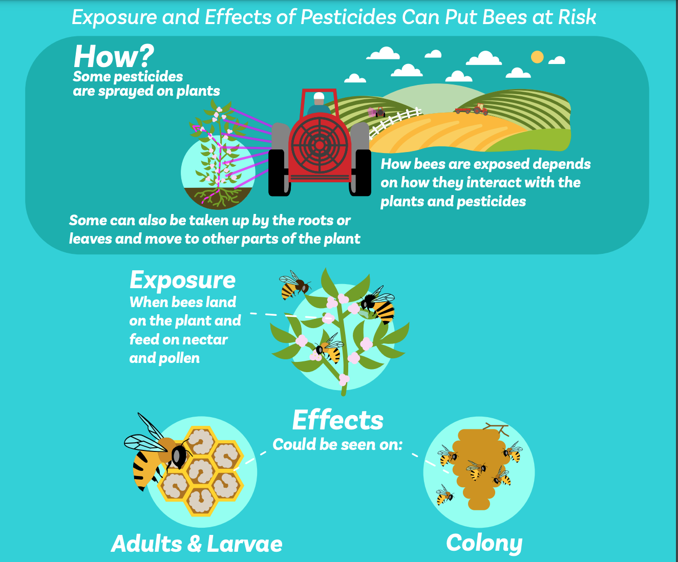 3 things to know about pollinators and attracting them