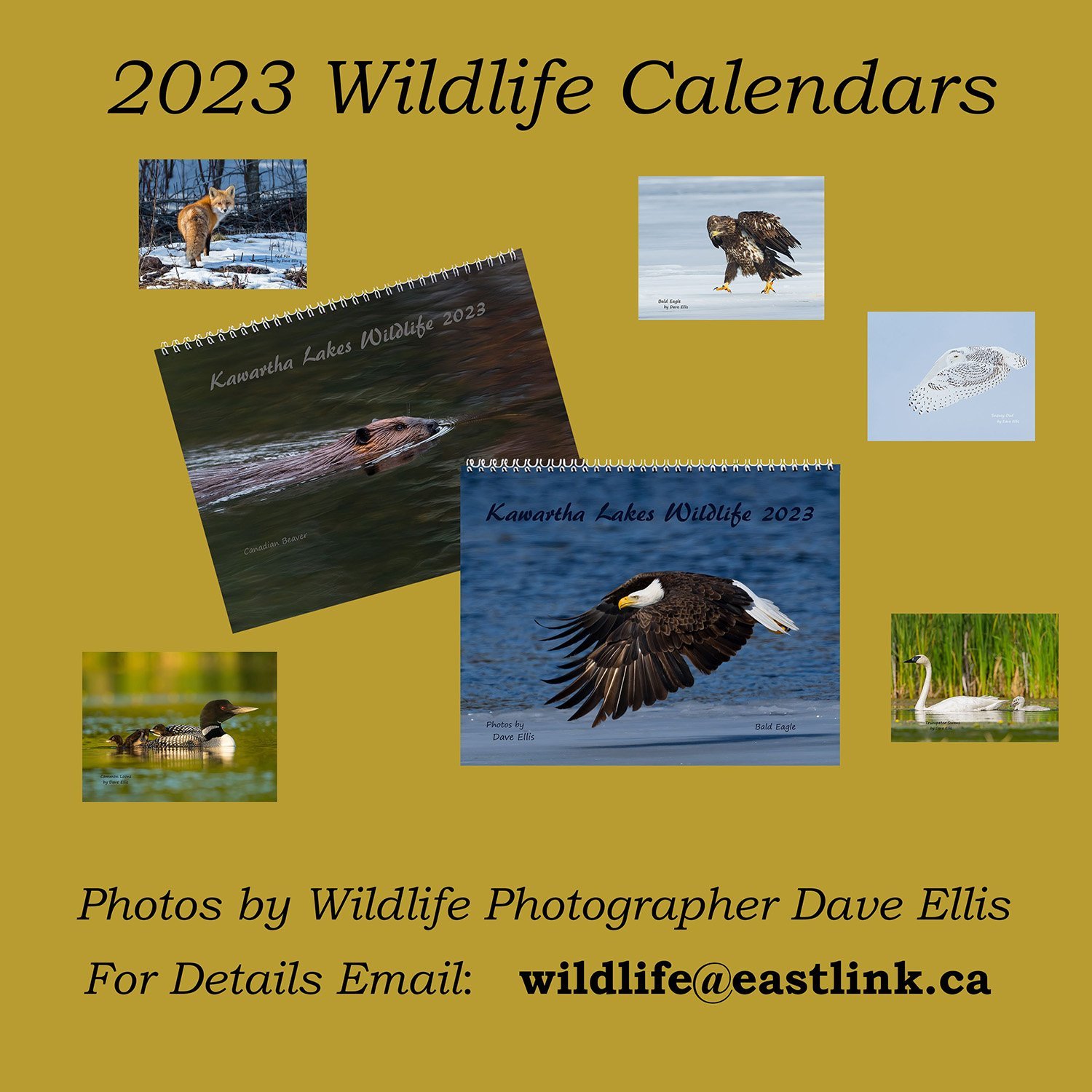 2023 Kawartha Lakes Wildlife Calendars make the perfect gift
